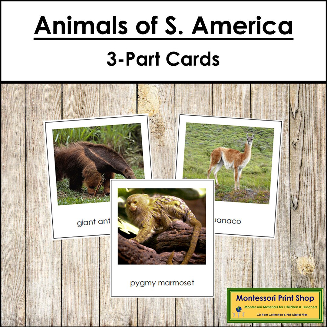 Animals of South America - Montessori Continent Cards - Geography ...
