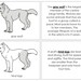 Parts of a Gray Wolf Nomenclature Book - Montessori Zoology - Printable ...