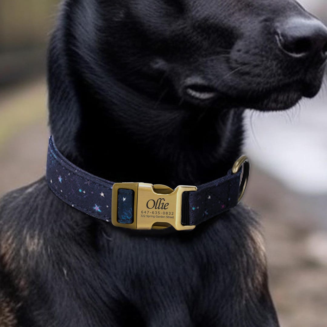 Engraved Dog Collar Personalized With Name Address Number Text Cotton ...
