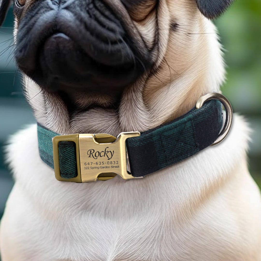 Engraved Dog Collar Personalized With Name Address Number Text Cotton ...