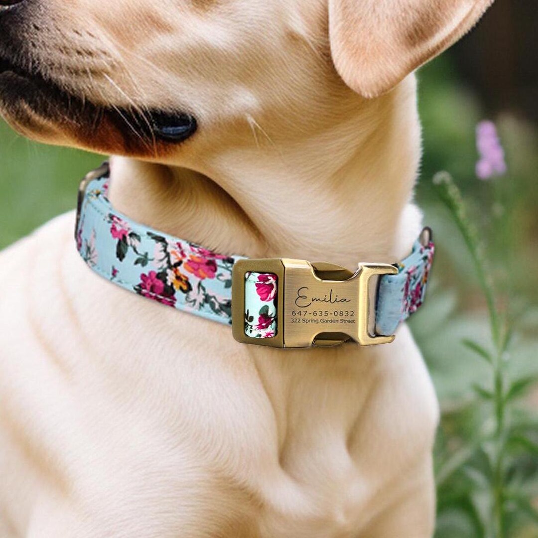 Engraved Dog Collar Personalized With Name Address Number Text Cotton ...