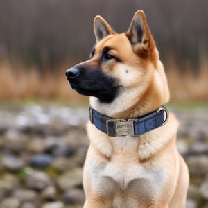 Engraved Dog Collar Personalized With Name Address Number Text Cotton ...