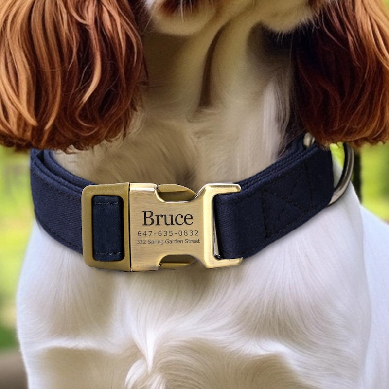 Navy Blue Dog Collar - Etsy