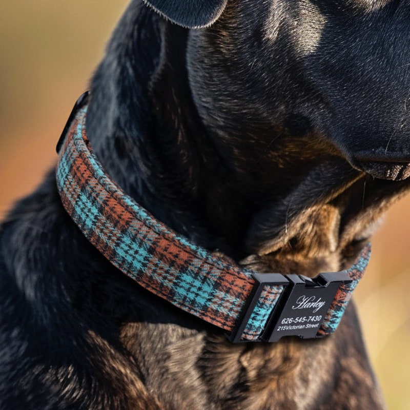 Turquoise Dog Collar - Etsy