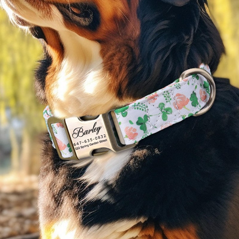 Clover Dog Tag - Etsy
