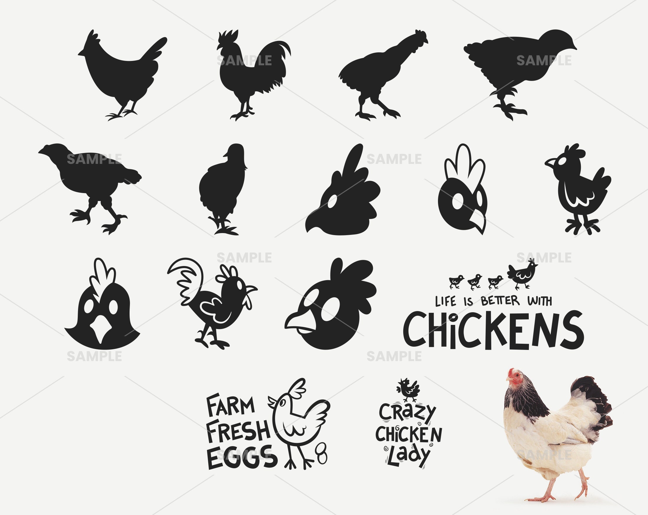 30 Pollo SVG Bundle / Gallina Svg, Gallo Svg, Pollo Svg Funny, Pollo ...