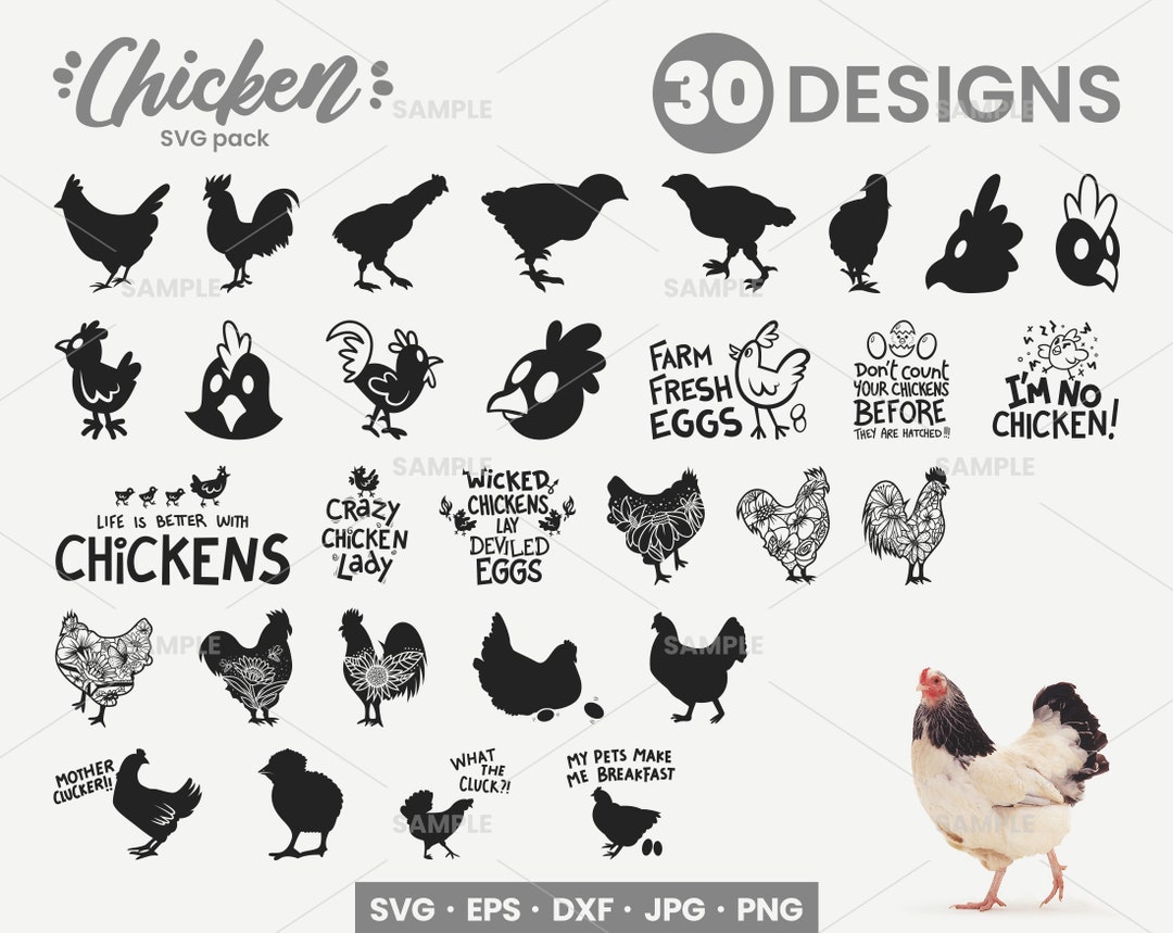 30 Chicken SVG Bundle | Hen Svg, Rooster Svg, Chicken Svg Funny ...