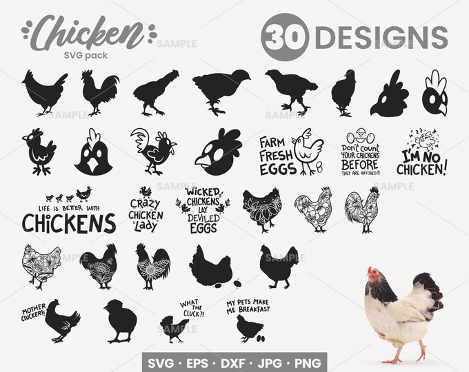 Chicken SVG Bundle, Hand Drawn Hen SVG, Rooster SVG, Farm Animal Svg ...