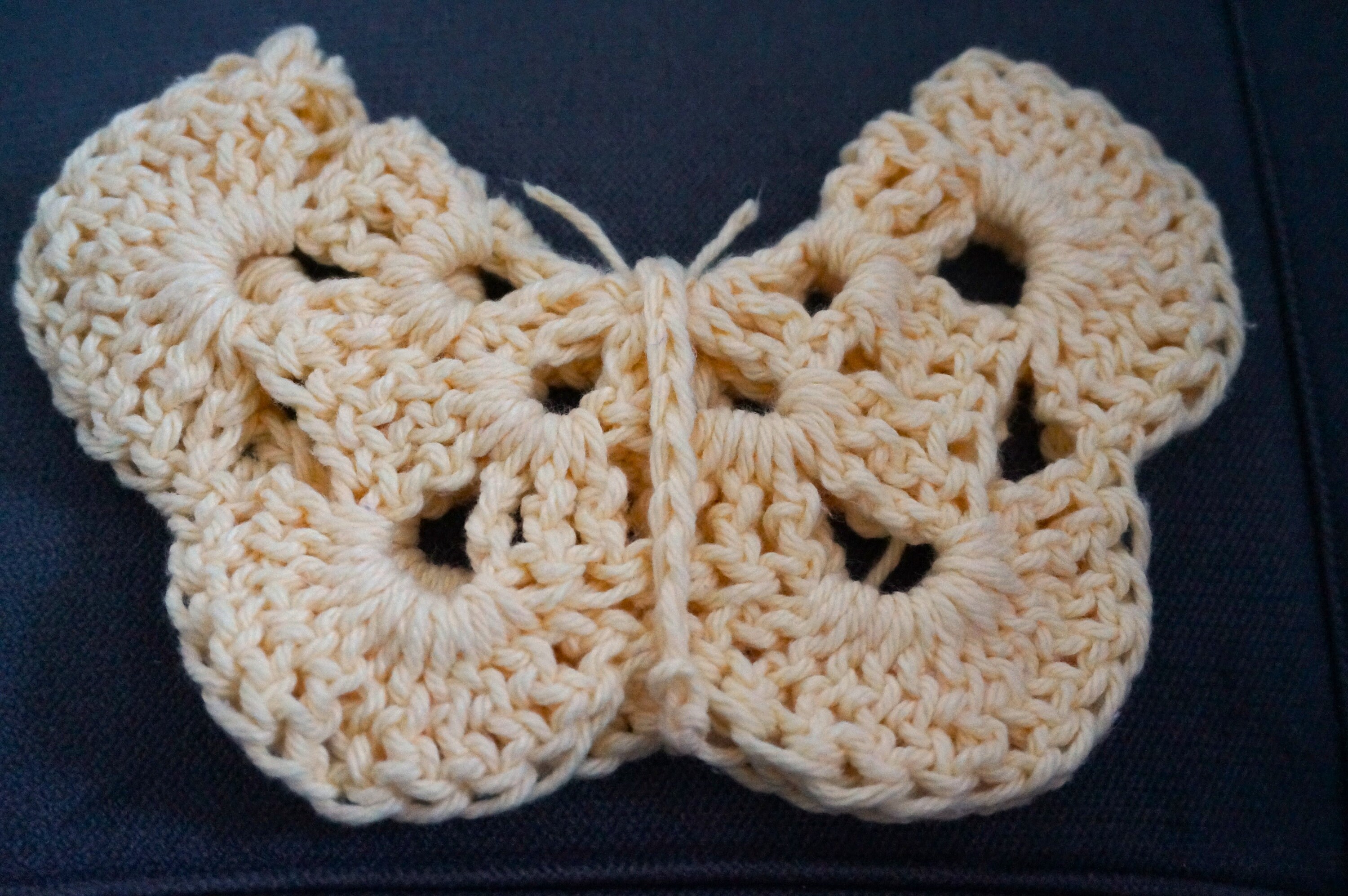 Butterfly Crochet Pattern - Etsy