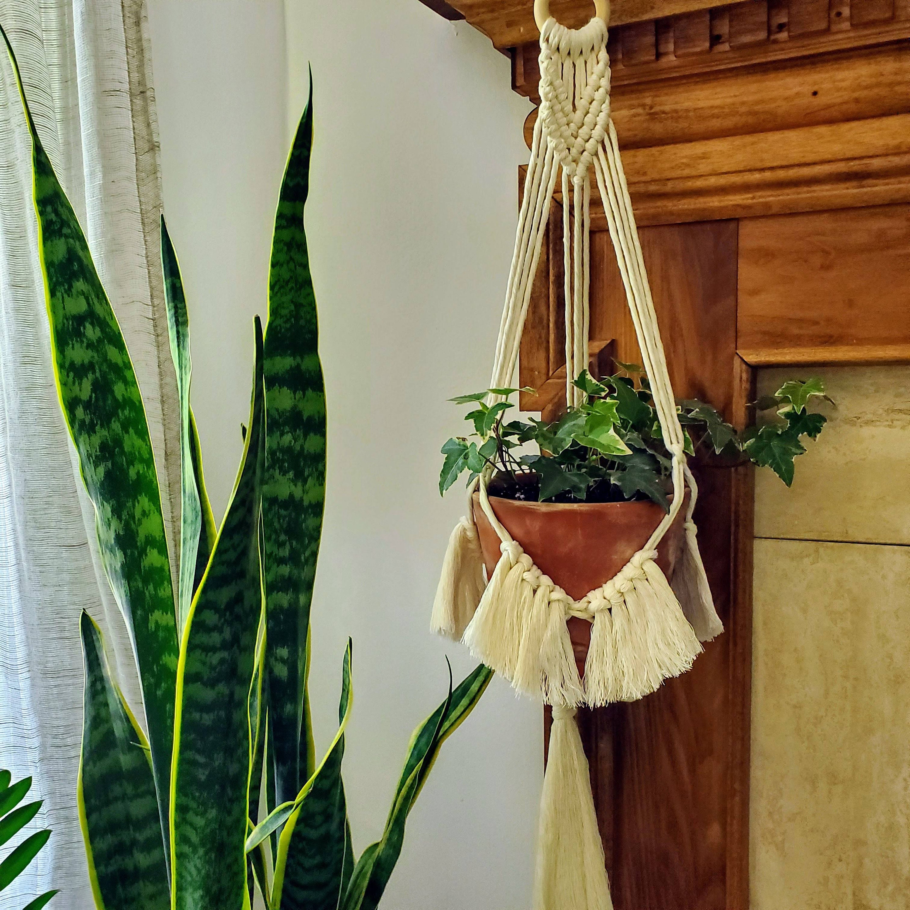 Easy Macrame Pattern Macrame Plant Hanger Including Knot - Etsy