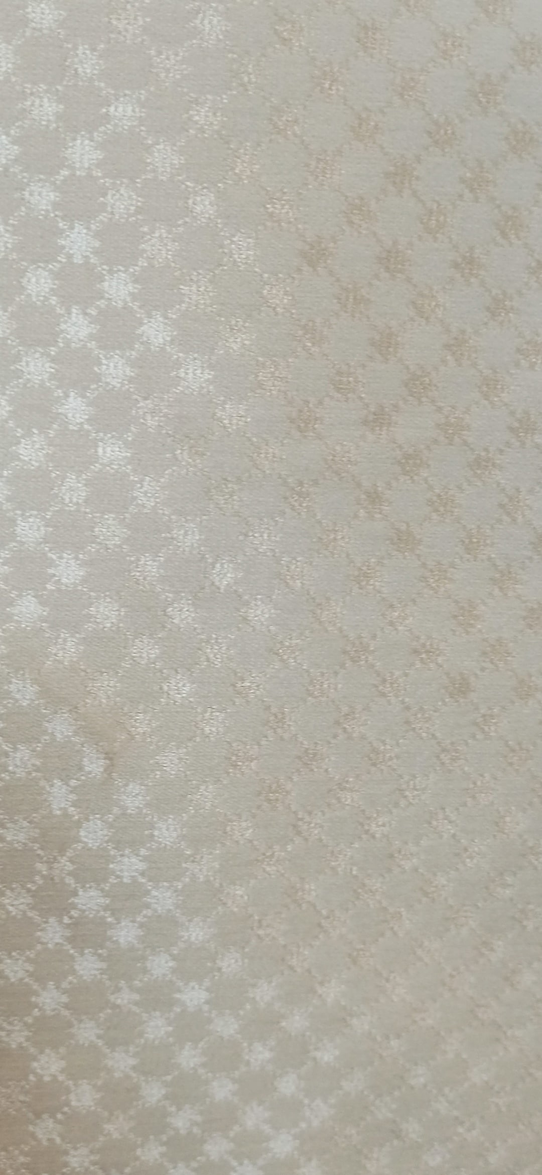 Luxury Cream Velvet Fabric, Upholstery Velvet Fabric, Fabric by the ...