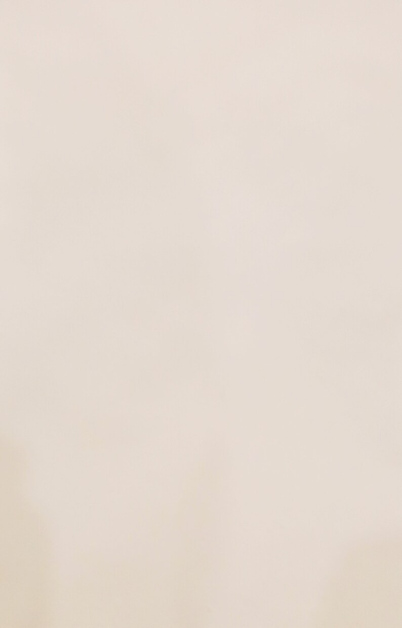 Luxury Cream Velvet Fabric Upholstery Velvet Fabric Fabric - Etsy