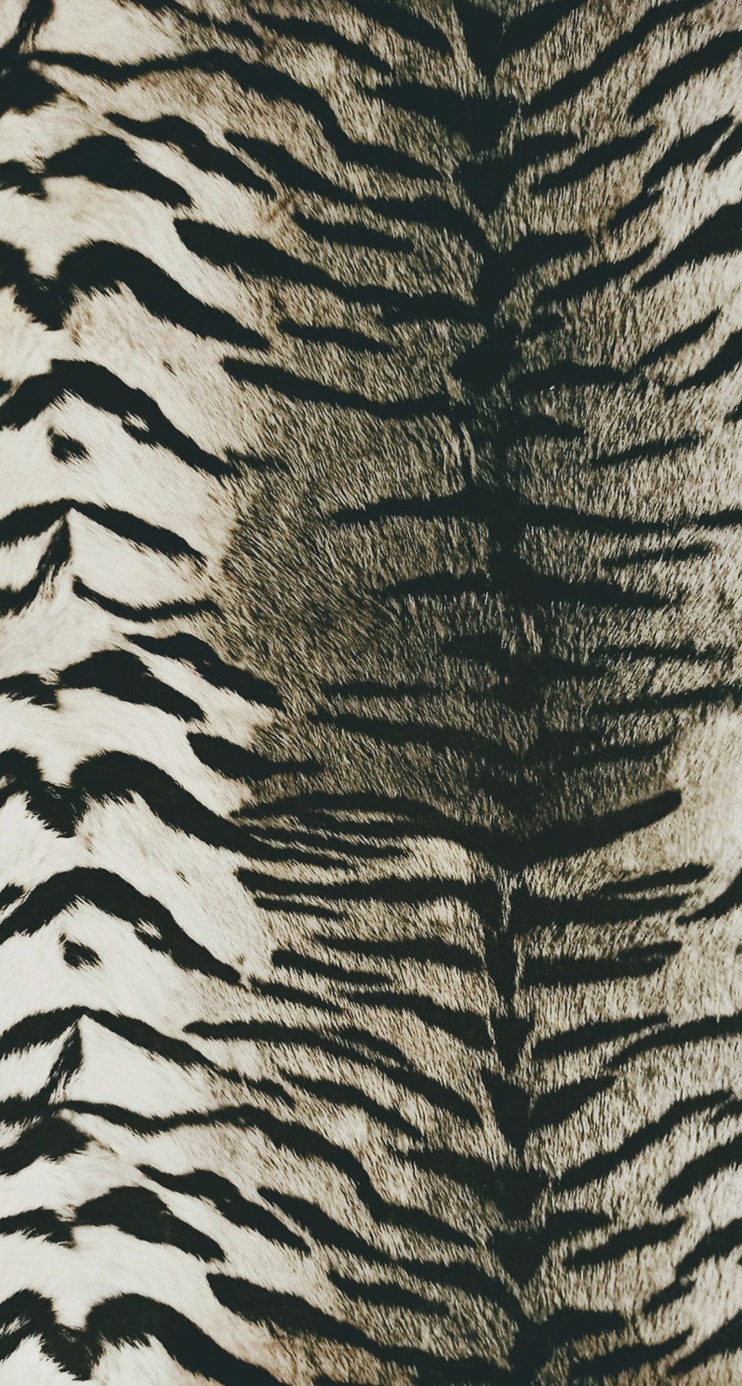 Animal Print Velvet Upholstery Fabric: Leopard Tiger Drapery, by the ...