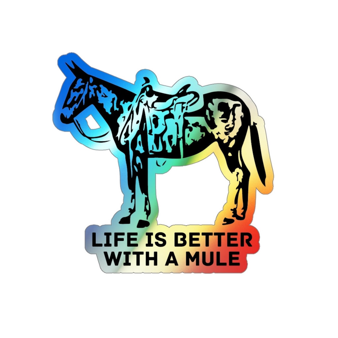 Life is Better With A Mule. Mule Rules. Mule Riding. Mule Rider. Mule ...