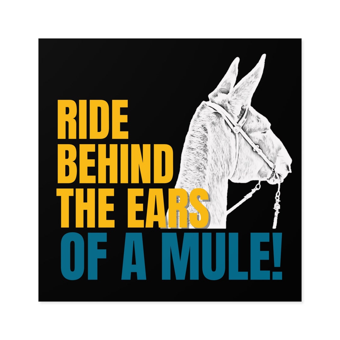 Ride Behind the Ears of A Mule Square Stickers, Indooroutdoor. Mule ...
