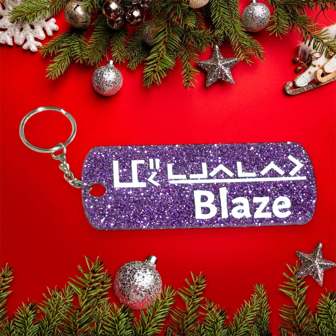 Custom BLM Freeze Brand Keychain. Mustang. BLM Horse. Wild Horse ...