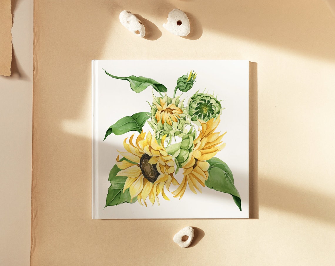 Watercolor Sunflower PNG Clipart. Hand Painted Yellow Flowers. - Etsy