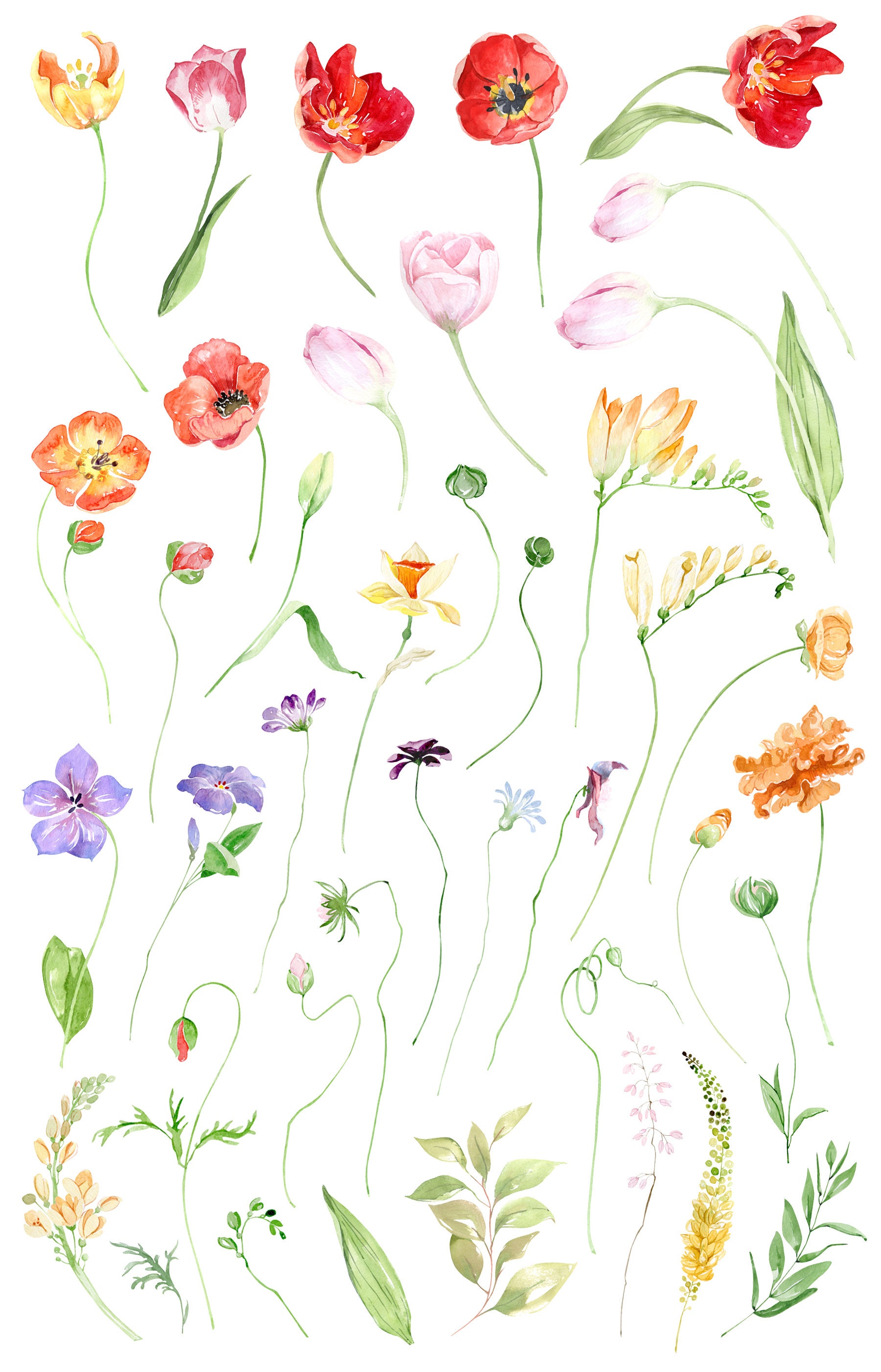 Watercolor Spring Floral Clipart Meadow and Garden Flowers - Etsy