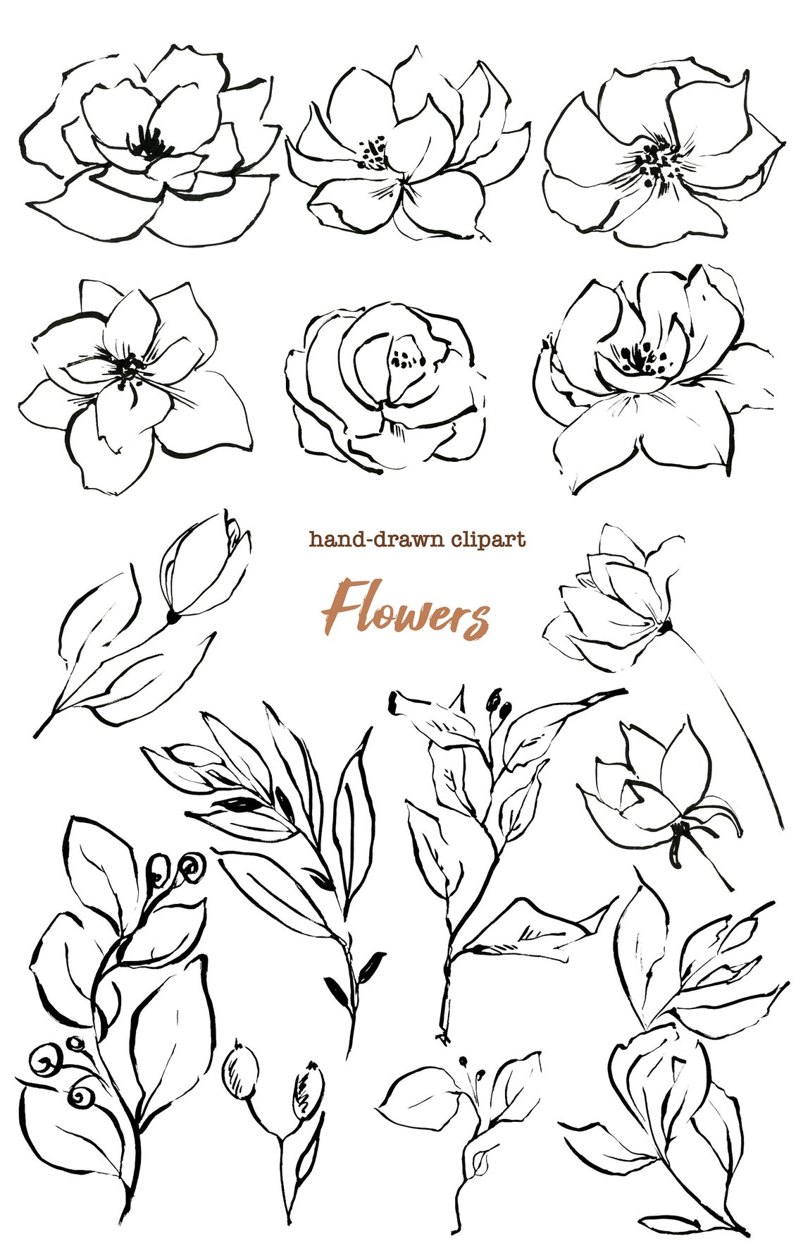 Floral Line Art Clipart. Hand-drawn Ink Flowers and Leaves. Black and ...