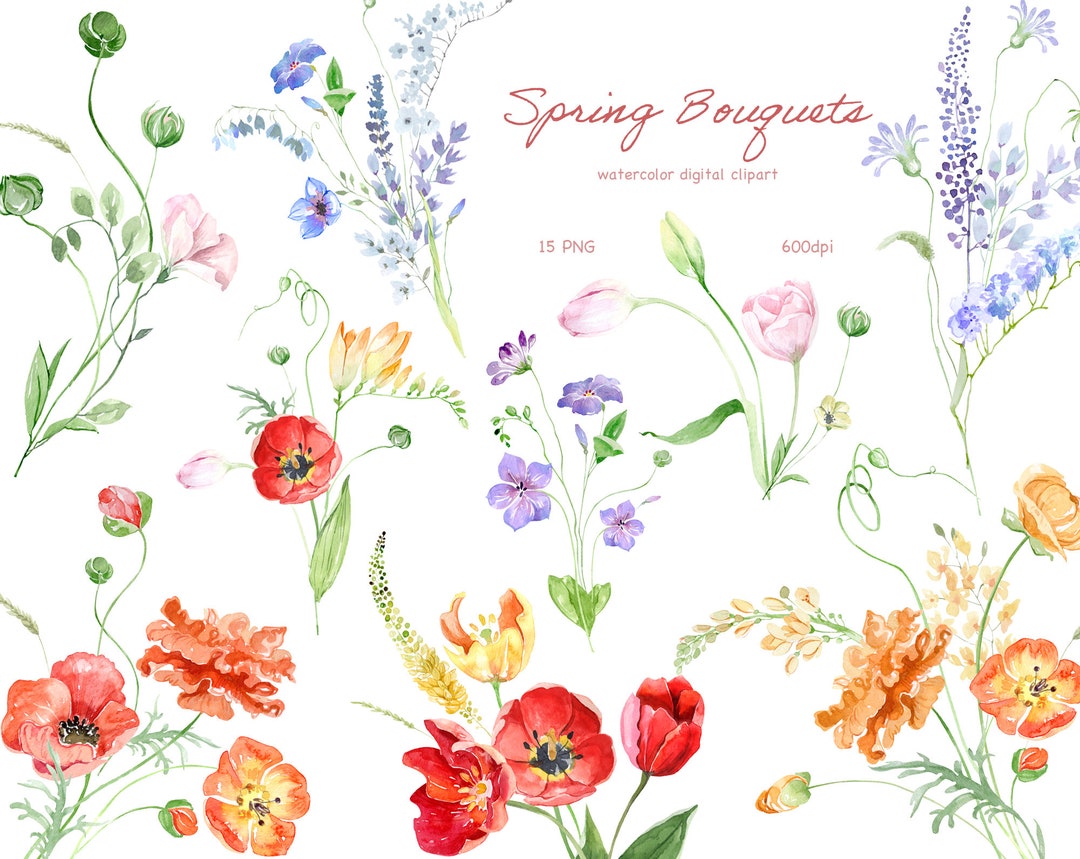 Watercolor Spring Tiny Flowers Bouquets,botanical Garden,wildflowers ...