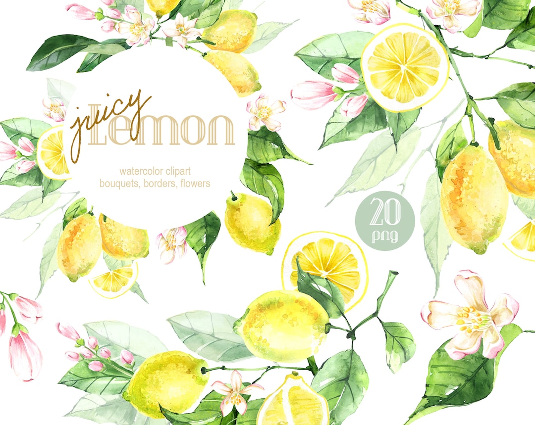 Watercolor Lemon Wreaths and Bouquets, Lemon Flowers PNG, Floral ...