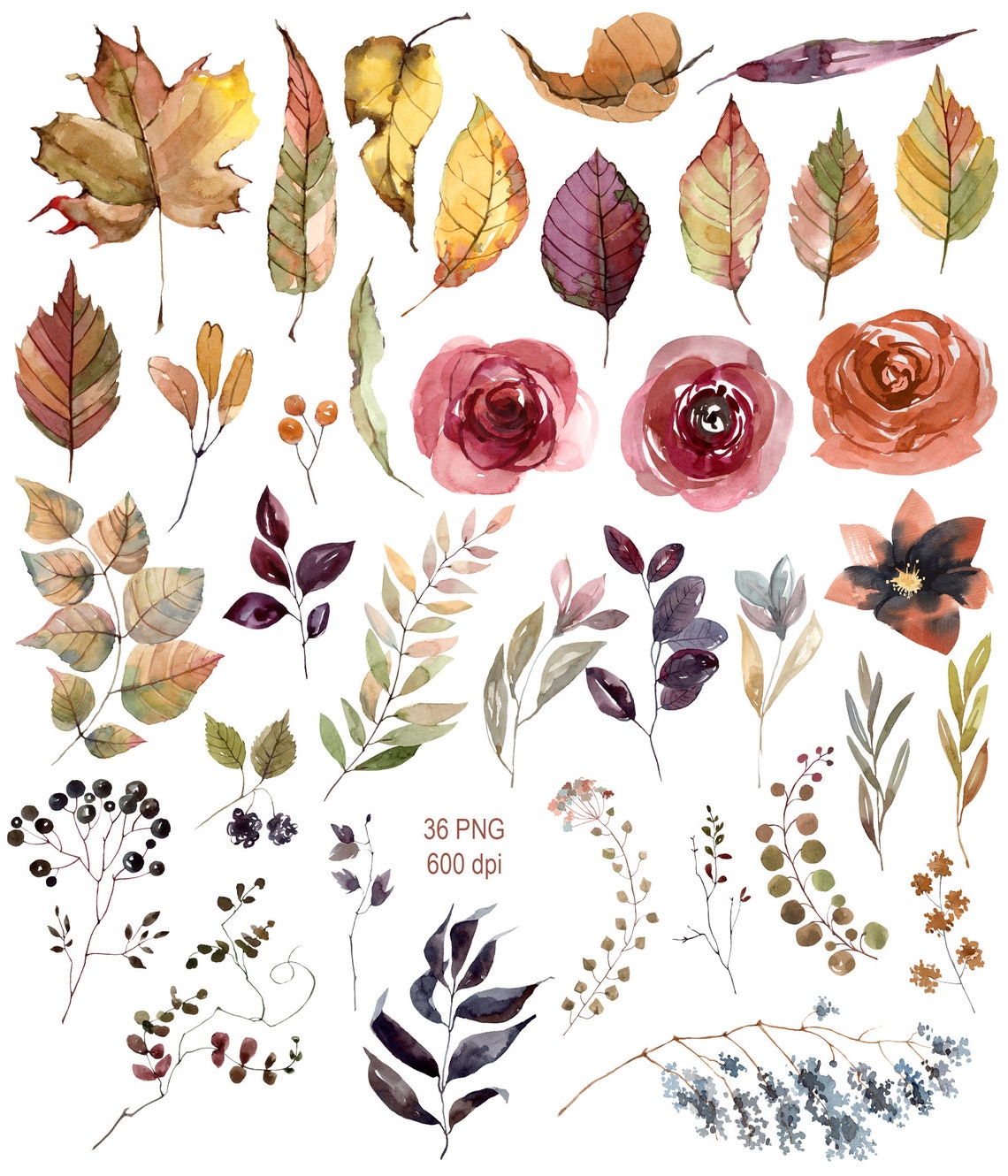 Watercolor Autumn Leaves, Clipart, Fall Rusty Clipart, Fall Leaves ...