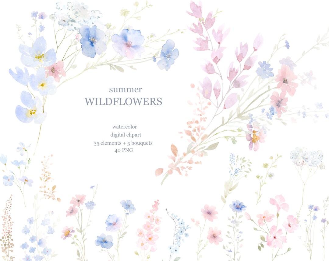 Wild Flowers Watercolor Clipart, Meadow Flowers, Summer Fall Flowers ...