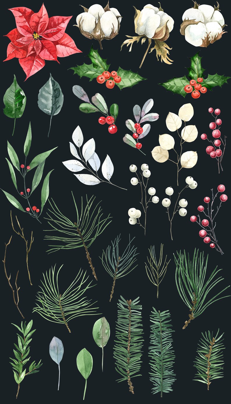 Watercolor Winter Greenery Clipart. Christmas Greenery Floral. New Year ...