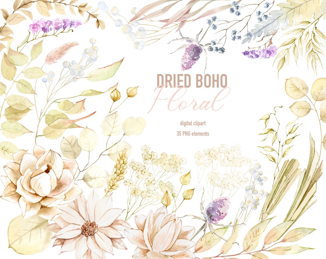 Dried Boho Florals Clipart. Watercolor Bohemian Flowers and Leaves ...