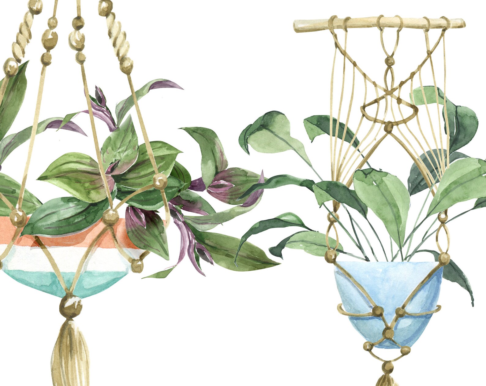 Watercolor Hanging Plant Clipart. Green Indoor House Plant - Etsy