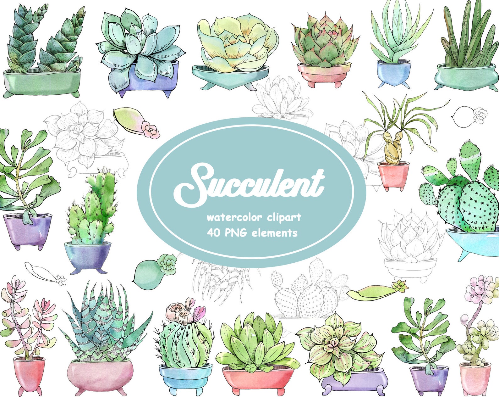 Watercolor Succulent Clipart. Potted Plants Clipart. | Etsy