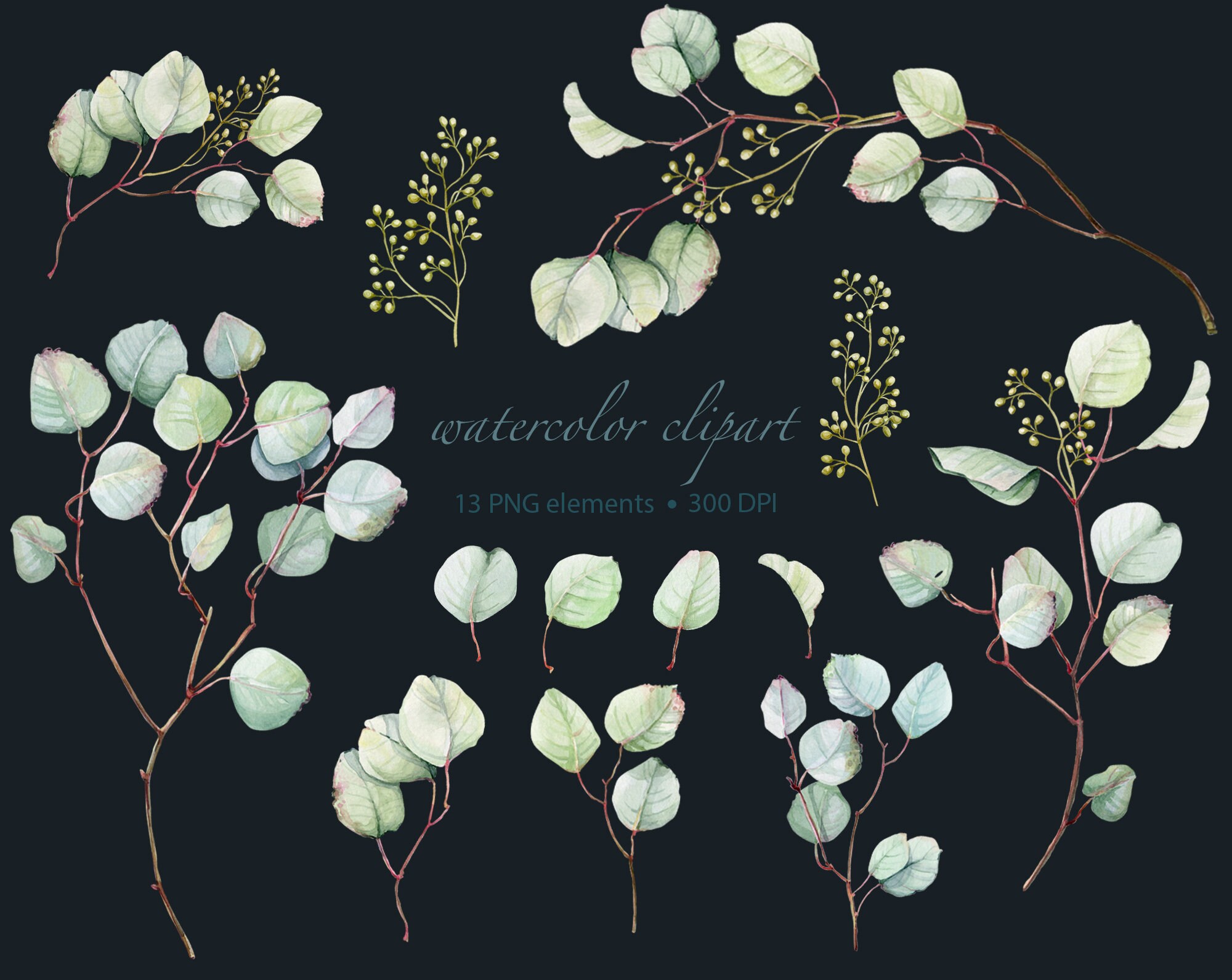 Watercolor Eucalyptus Clipart Greenery Clipart Foliage - Etsy