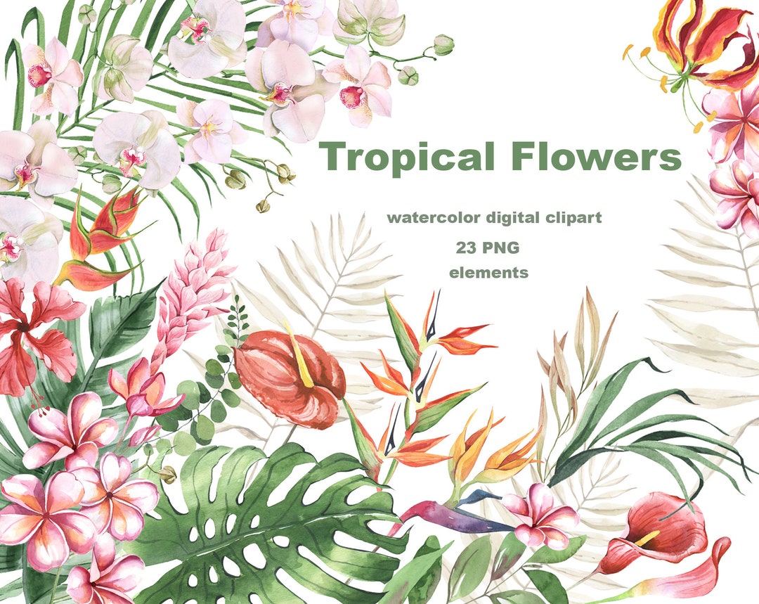 Watercolor Tropical Flower Clipart. Exotic Summer Flowers and Leaves ...