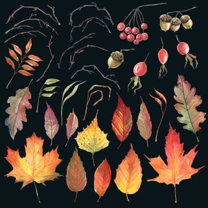 Watercolor Fall Leaves Clipart. Fall Clip Art. Autumn Watercolor ...