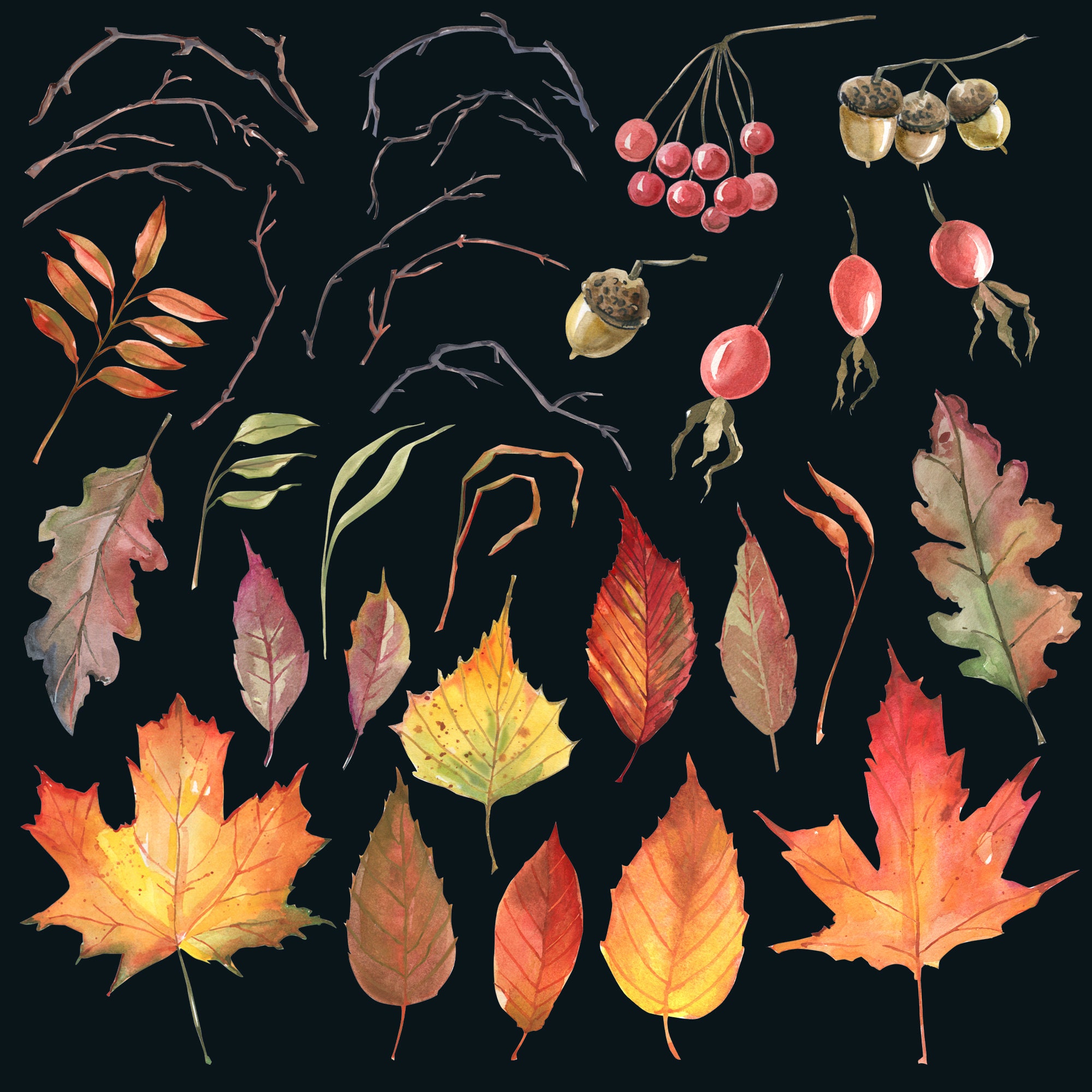 Watercolor Fall Leaves Clipart. Fall Clip Art. Autumn - Etsy