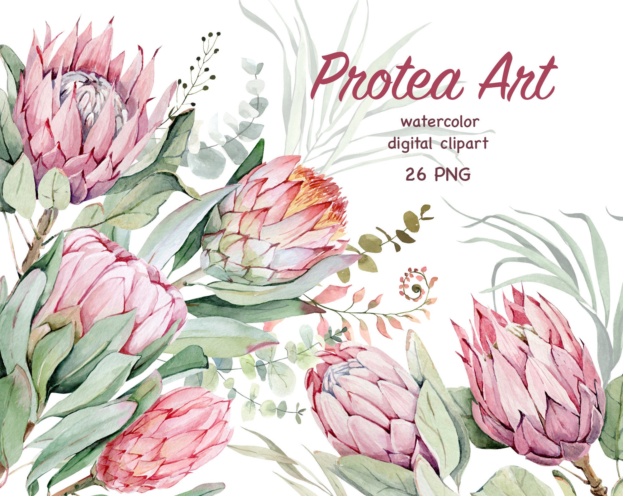Watercolor Protea Clipart. Pink Tropical Flowers. Wedding - Etsy Australia