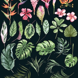 Tropical Greenery Watercolor Clipart. Banana, Monstera and Palm Leaf ...