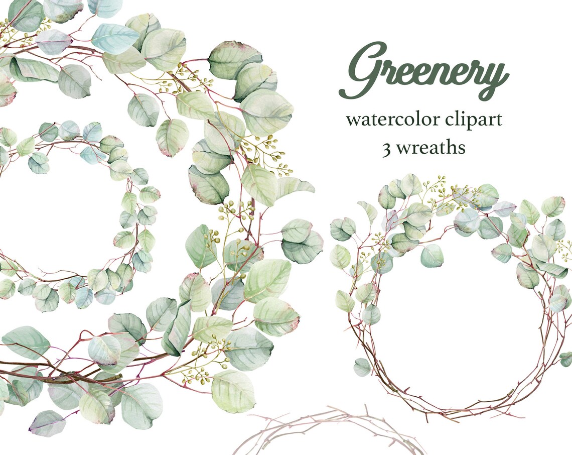 Watercolor Eucalyptus Wreath Clipart. Greenery Wreath Leaf | Etsy