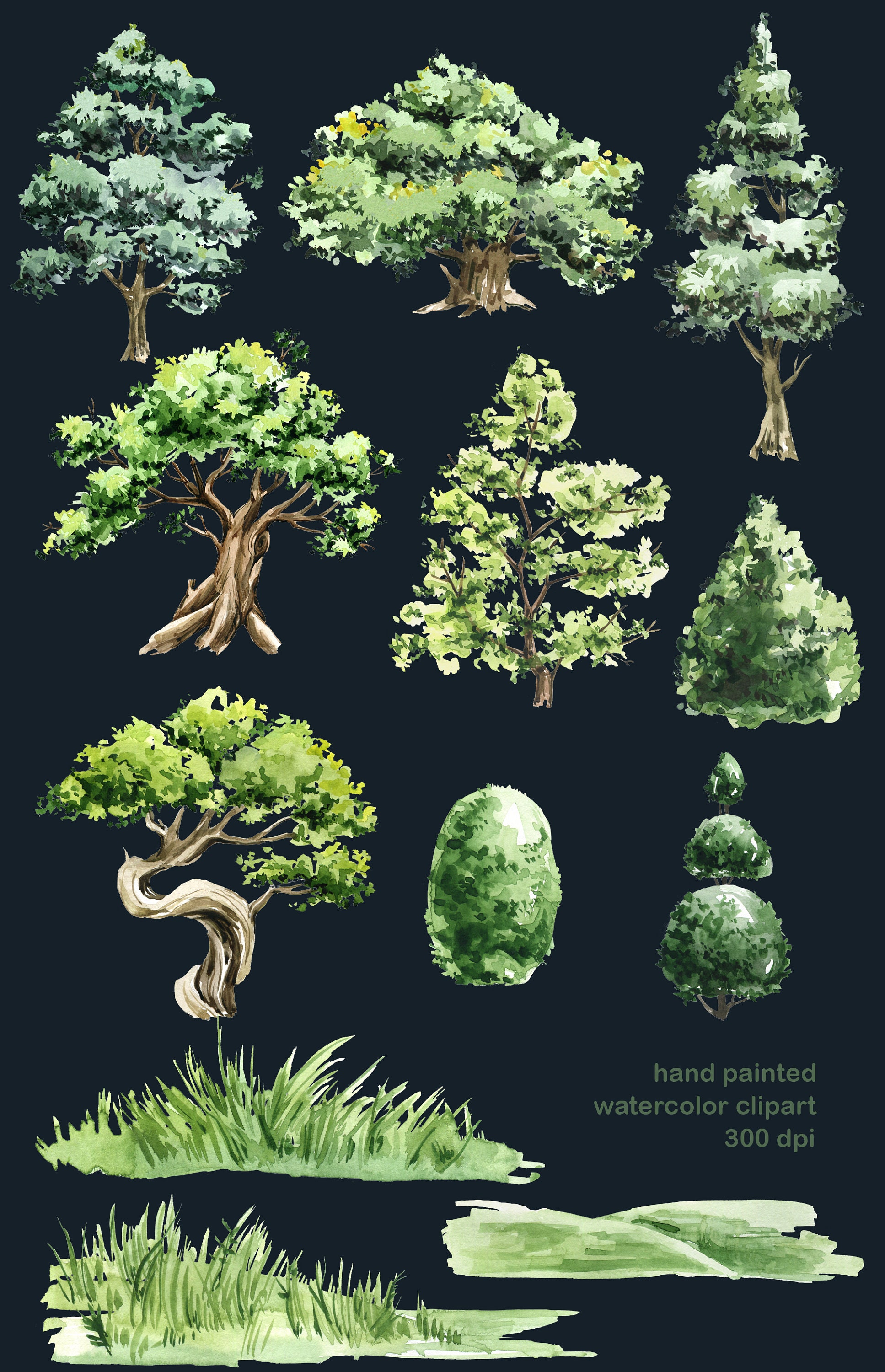 Watercolor Trees Clipart. Oak Poplar Bush Leaf Glade. - Etsy