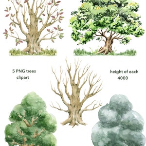 Watercolor Family Tree Clipart. Family Tree Creator. for Family Tree ...