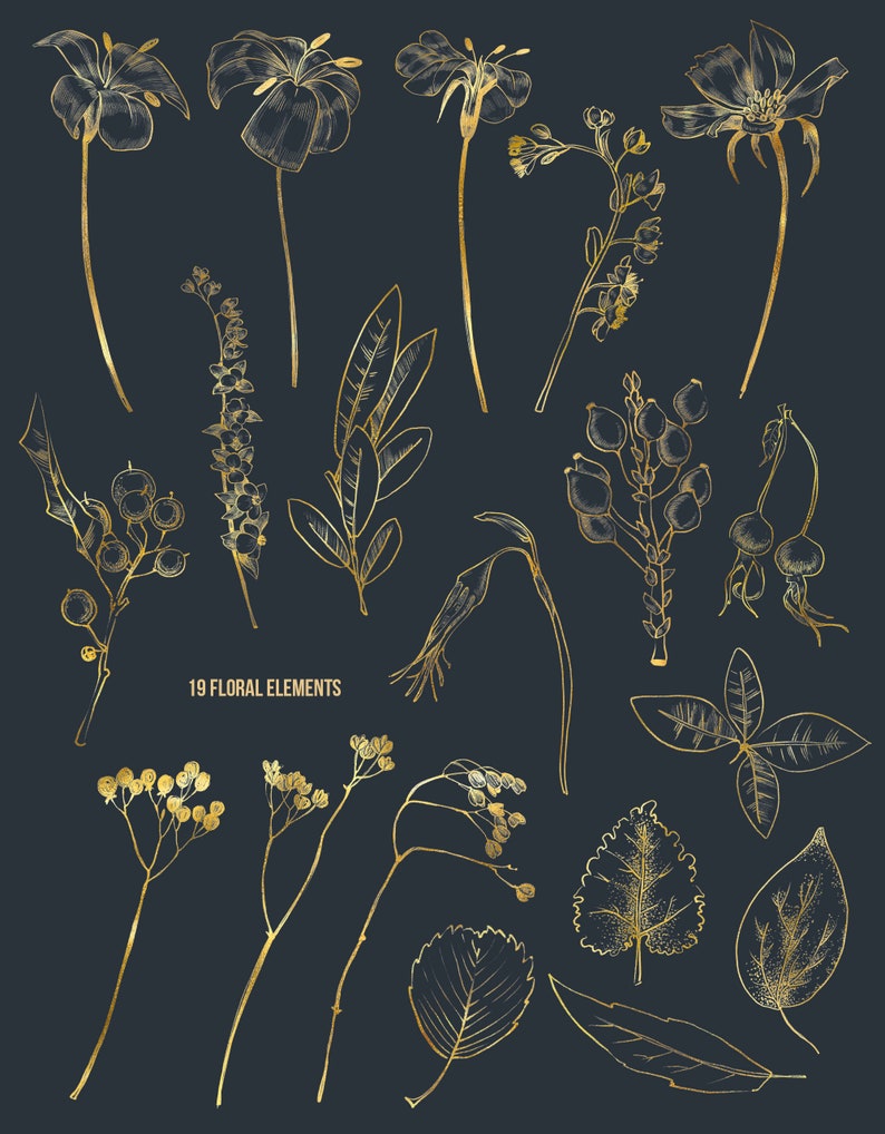 Gold Glitter Wild Floral Clipart, Floral Border Png, Hand Drawn ...
