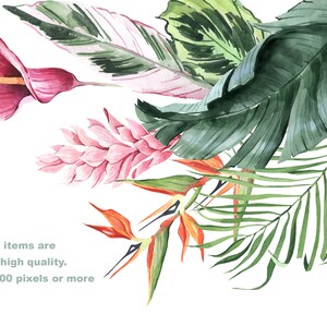 Tropical Greenery Watercolor Clipart. Banana, Monstera and Palm Leaf ...