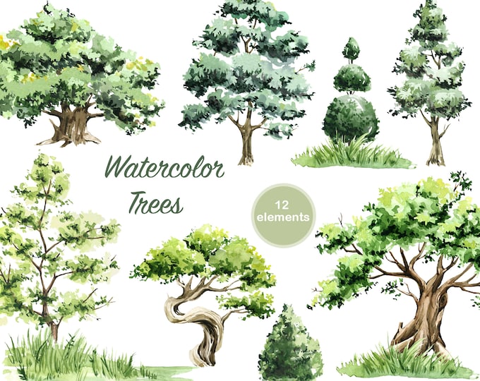 Watercolor Family Tree Clipart. Family Tree Creator. for Family Tree ...