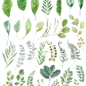 Watercolor Greenery Clipart, Floral Clipart, Botanical Clipart, Leaves ...