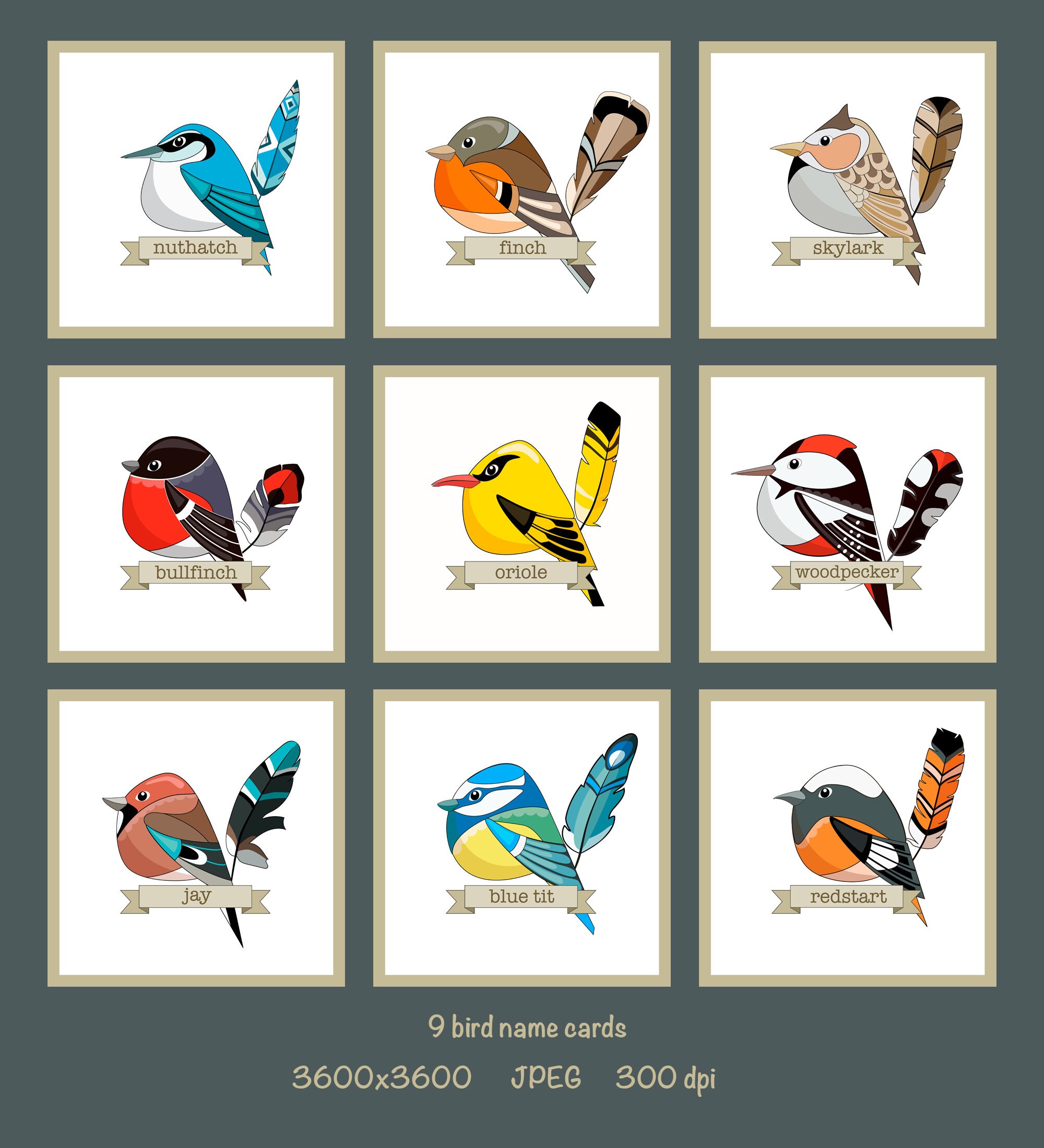 Small Bird Digital Clipart. PNG Set of Tiny Birds. Jay. | Etsy