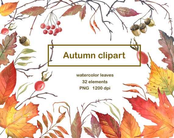 Watercolor Fall Leaves Clipart. Fall Clip Art. Autumn - Etsy