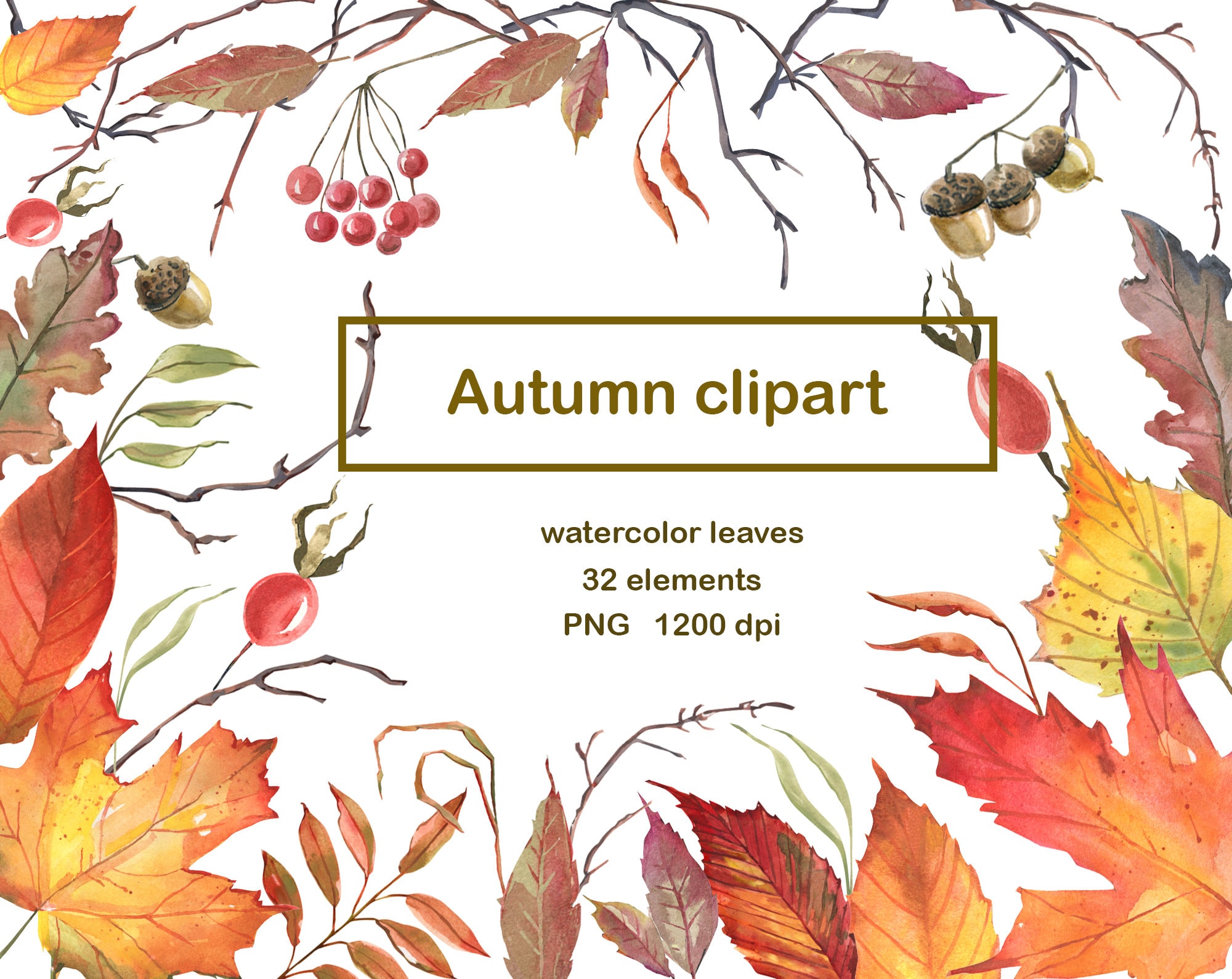 Watercolor Fall Leaves Clipart. Fall Clip Art. Autumn - Etsy