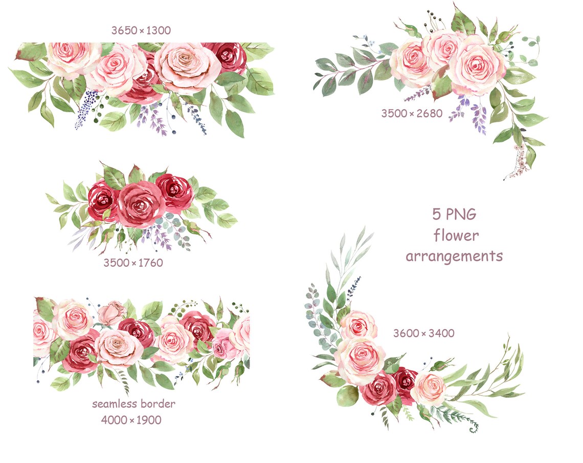 Watercolor Blush Rose Clipart Pink Roses Floral Frame - Etsy