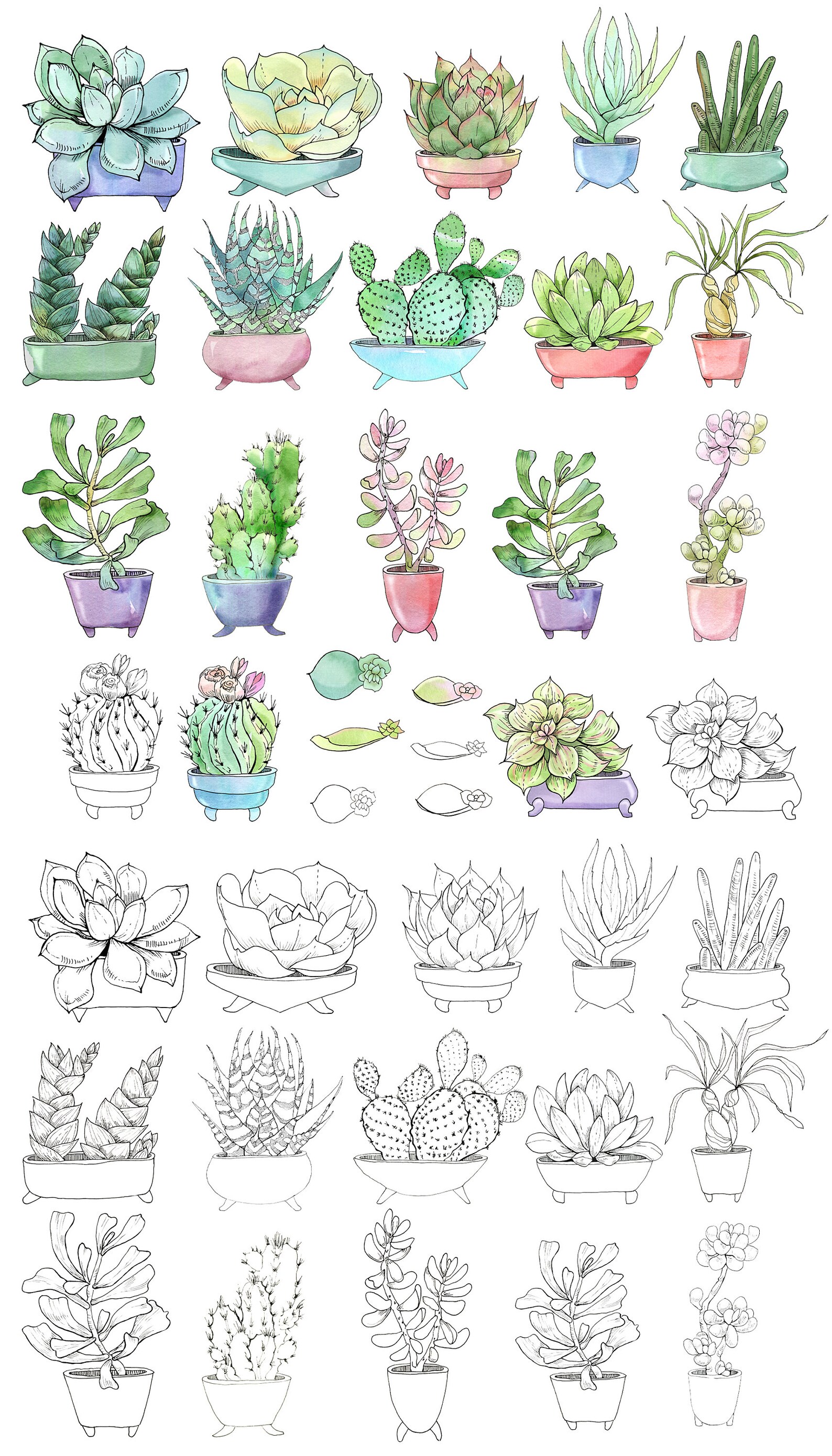 Watercolor Succulent Clipart. Potted Plants Clipart. Watercolor Home ...