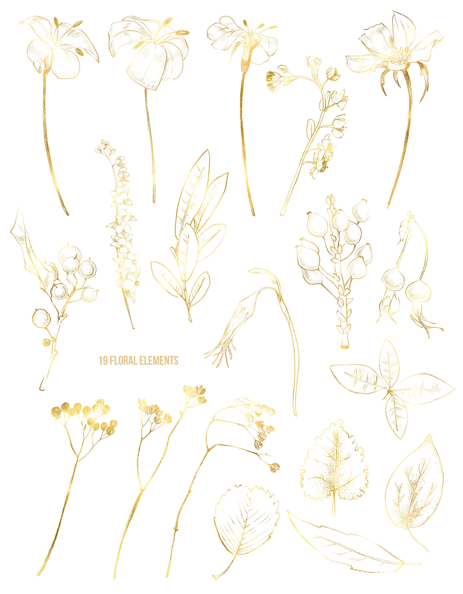 Gold Glitter Wild Floral Clipart, Floral Border Png, Hand Drawn ...